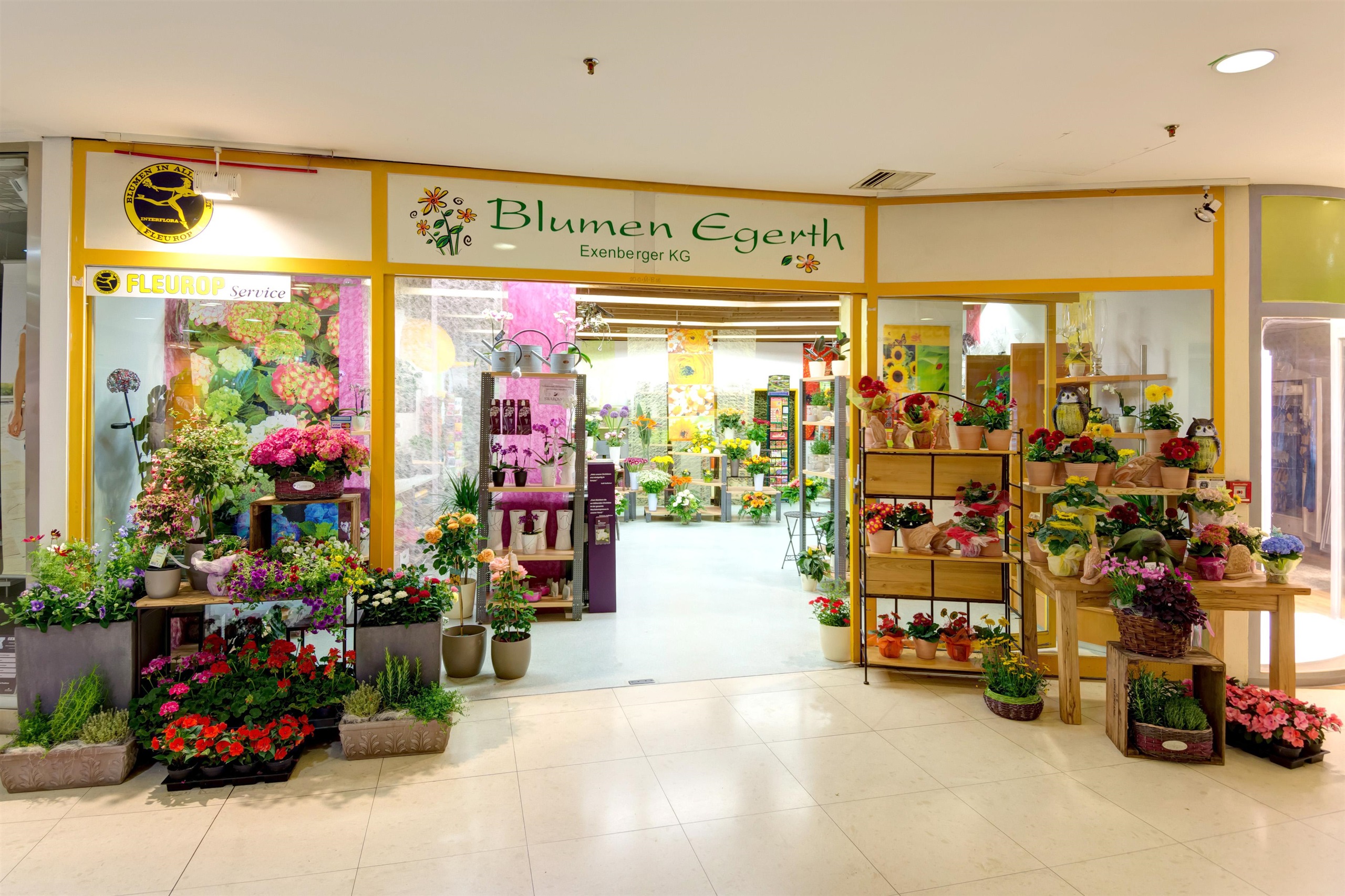 Blumen Egerth - Filiale Inntalcenter in Kufstein